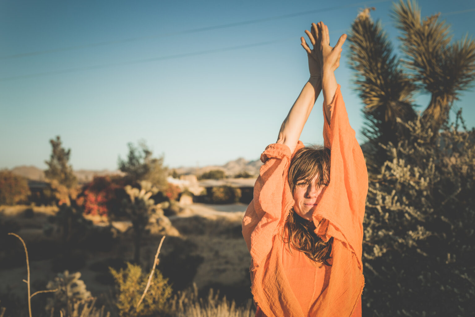 Visit – Joshua Tree Retreat Center